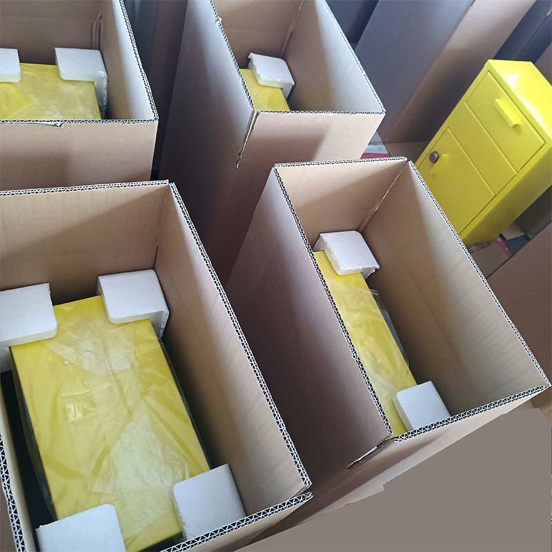 WDPB-22-small - Package Delivery Box